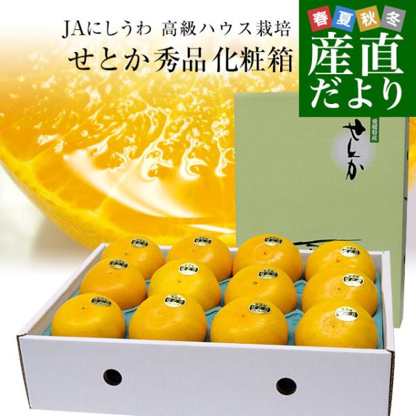 東京都大田市場より発送いたします。商品名：せとか ハウス栽培 秀品内容量：約3キロ（10玉から15玉）原産地：愛媛県柑橘の味が変わった！ここまで凄いオレンジがあったのかと市場関係者もびっくりしたものです。「清見」と「アンコール」を掛け合せた...