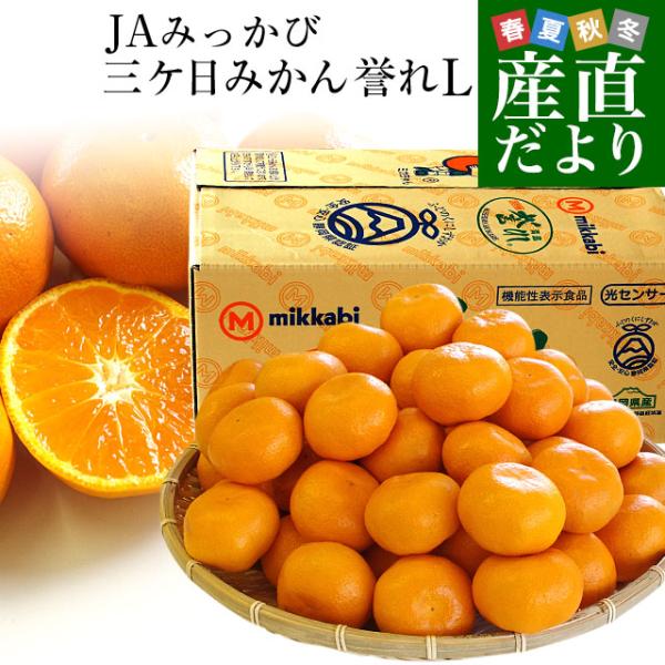 JA三ケ日または東京豊洲市場から発送します。商品名：青島みかん内容量：約4キロ（Lサイズ）原産地：静岡県青島みかんは、冬みかんの代表的な存在! しっかりと貯蔵して、うまみを引き出して発送します。とっても糖度が高くて味が濃く、とってもジューシ...