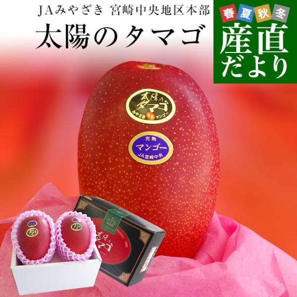 【発売日：2026年04月01日】宮崎県JA宮崎中央より産地直送します。商品名：マンゴー(太陽のたまご)2Lサイズ産地：宮崎県内容量：(350gから449g)×2玉南国・宮崎の太陽をたっぷり浴びて育った、特別な完熟マンゴー。「太陽のタマゴ」...