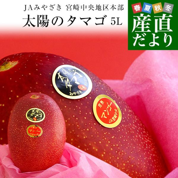 【発売日：2026年04月01日】宮崎県　JAみやざき宮崎中央地区本部から産地直送します 商品名：マンゴー　太陽のタマゴ　最高級AA品内容量：5Lサイズ×1玉（650g以上） 産地：宮崎県マンゴーの王様と称される、宮崎県が誇る最高級ブランド...