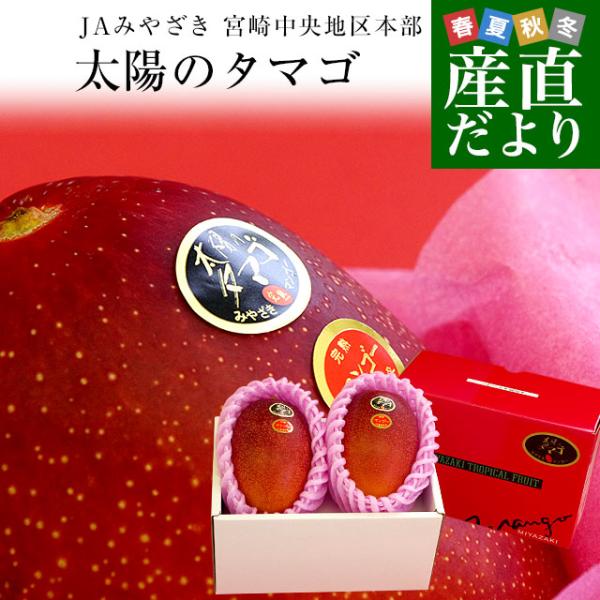 【発売日：2026年04月01日】宮崎県　JAみやざき宮崎中央地区本部から産地直送します 商品名：マンゴー　太陽のタマゴ　最高級AA品内容量：3Lサイズ×2玉（450gから499g×2玉） 産地：宮崎県マンゴーの王様と称される、宮崎県が誇る...