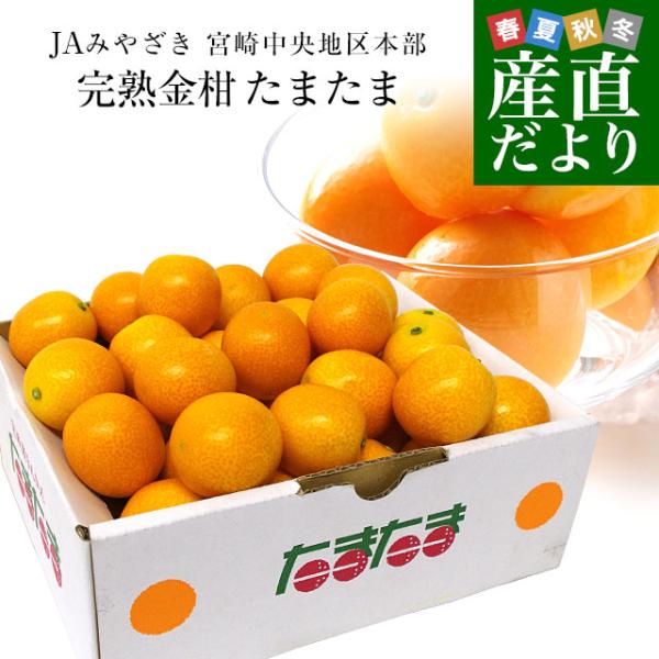 宮崎県　JAみやざき宮崎中央地区本部より産地直送します。名称：金柑たまたま原産地：宮崎県内容量：2L 1キロそのまま、パクリ！！皮の強い甘さと中心で感じる程よい酸味。 極上の美味を堪能してください！＜商品の規格・重量などについて＞当店で扱う...