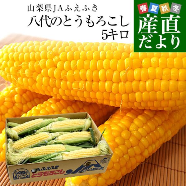 山梨県JAふえふき八代支所から産地直送します。名称：とうもろこし（ゴールドラッシュ）産地：山梨県内容量：約5キロ　12本から15本入り山梨県のほぼ中央、甲府盆地の南東部に位置し、御坂山系に続く丘陵地帯に広がる肥沃な大地JAふえふき八代支所。...