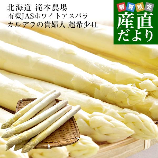 【発売日：2026年05月01日】北海道　滝本農場より産地直送します。商品名：ホワイト4L内容量：500g(6本から9本)産地：北海道旬の柔らかい有機栽培アスパラをお届けします。周りを山に囲まれ、寒暖差の激しい北海道の赤井川村、とっても美味...