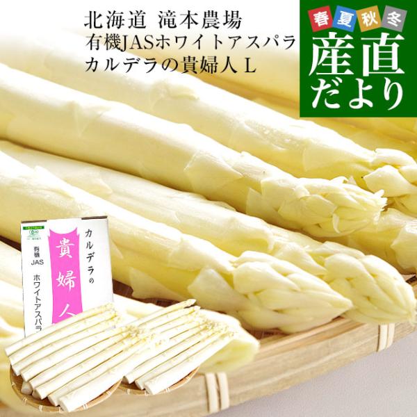 【発売日：2026年05月01日】北海道　滝本農場より産地直送します。商品名：ホワイトL内容量：500g(15本から20本)産地：北海道  旬の柔らかい有機栽培アスパラをお届けします。周りを山に囲まれ、寒暖差の激しい北海道の赤井川村、とって...