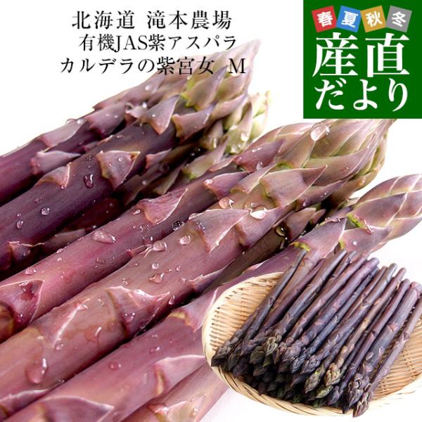 【発売日：2026年05月01日】北海道　滝本農場より産地直送します。商品名：紫アスパラ　Mサイズ内容量：500g(目安：20本から30本前後)産地：北海道旬の柔らかい有機栽培アスパラをお届けします。周りを山に囲まれ、寒暖差の激しい北海道の...