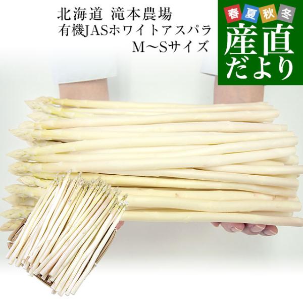 【発売日：2026年05月01日】北海道 滝本農場より産地直送します。商品名:ホワイトアスパラ MからSサイズ内容量:約1kg(50本から70本前後)産地:北海道※多少重量や本数が前後することもございますので、その点はご了承ください。 旬の...