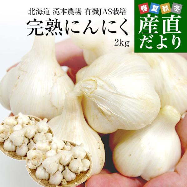 【発売日：2026年07月15日】北海道滝本農場より産地直送します。商品名：にんにく産地：北海道内容量：約2キロ（1キロ×2袋）北海道から「有機JAS完熟にんにく」の登場です。滝本農場のにんにくは、完全無農薬栽培のにんにく。有機肥料や鶏糞な...