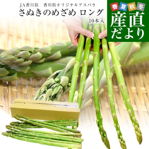 香川県JA香川県より産地直送します。商品名：さぬきのめざめロング内容量：10本入り（80g/本×10本）長さ：50センチ前後　原産地：香川県シャキシャキとした歯ごたえと爽やかな甘みが特徴で、従来のアスパラガスとは一味違った新しい味わいを楽し...