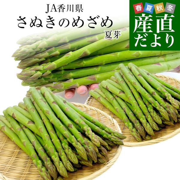 香川県JA香川県より産地直送します。名称：さぬきのめざめ夏芽　LからMサイズ内容量：約1キロ（目安として　50本から90本前後）原産地：香川県シャキシャキとした歯ごたえと爽やかな甘みが特徴で、従来のアスパラガスとは一味違った新しい味わいを楽...