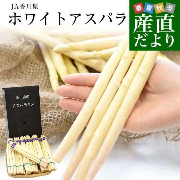 JA香川県より産地直送名称:ホワイトアスパラ2LからMサイズ内容量:約700g(目安として16本から36本前後)原産地:香川県土の中で大切に育てられたホワイトアスパラは、光を浴びないことでえぐみが少なく、驚くほどやわらかく、上品な甘みが際立...