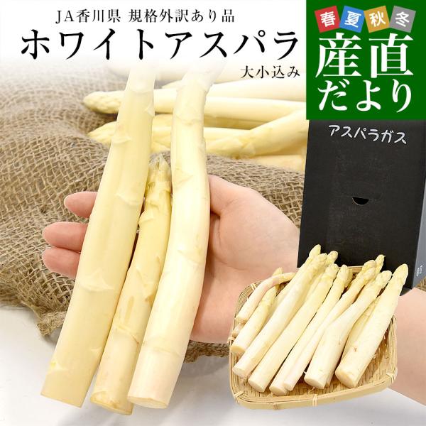 香川県JA香川県より産地直送します。名称:規格外　訳ありホワイトアスパラ内容量:約700g(目安として16本から32本前後※大小込みの為前後します)原産地:香川県土の中で大切に育てられたホワイトアスパラは、光を浴びないことでえぐみが少なく、...