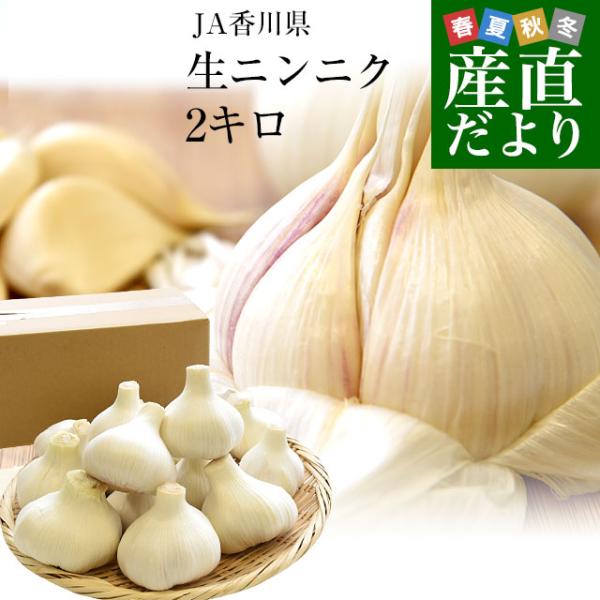 香川県JA香川県より産地直送します。商品名：生にんにく産地：香川県内容量：約2キロ　15玉から36玉前後通常は、日持ちさせるために乾燥処理をしたニンニクを長期間貯蔵し、市場に流通させますが、「生にんにく」は、産地で収穫直後のにんにくをそのま...