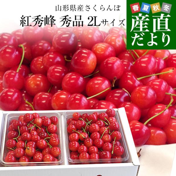 【発売日：2026年05月20日】山形県から産地直送します。名称：さくらんぼ(紅秀峰)　秀品産地：山形産内容量：2Lサイズ 約1キロ（500g×2）「さくらんぼは、どれも同じ」そう思っている方にこそ、ぜひ一度味わっていただきたい品種それが、...
