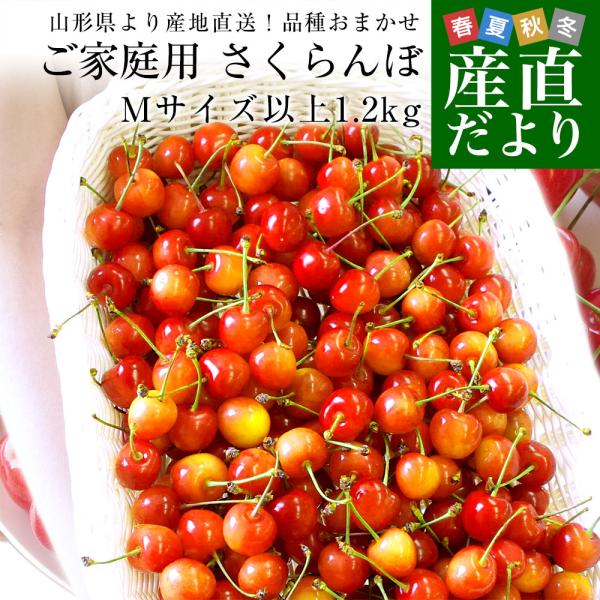 山形県より産地直送します。商品名：さくらんぼ品種：佐藤錦、紅秀峰、紅てまり、紅きらり、C-12の中でいずれかの品種原産地：山形県内容量：約1.2キロ(300g×4)口に入れた瞬間に広がる上品な甘み、ほのかな酸味、そしてパリッと弾ける食感。収...