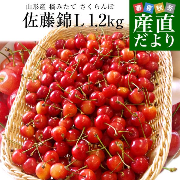 【発売日：2026年05月15日】山形県より産地直送します。名称: さくらんぼ「佐藤錦」内容量：Lサイズ 300g×4パック 合計約1.2キロ原産地：山形県初夏の訪れとともに旬を迎えるさくらんぼの中でも、ひときわ高い人気を誇るのが「佐藤錦」...