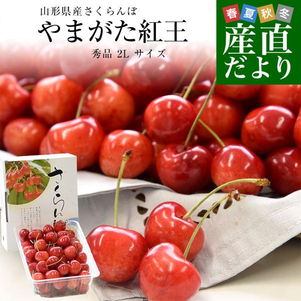 山形県から産地直送名称：さくらんぼ「やまがた紅王」秀品産地：山形産内容量：2Lサイズ　 約500gやまがた紅王は2017年に品種登録された新品種です。柔らかさと緻密さを兼ね備えた大粒の果肉に、甘さを引き立てる控えめな酸味。赤く、張りとつやの...