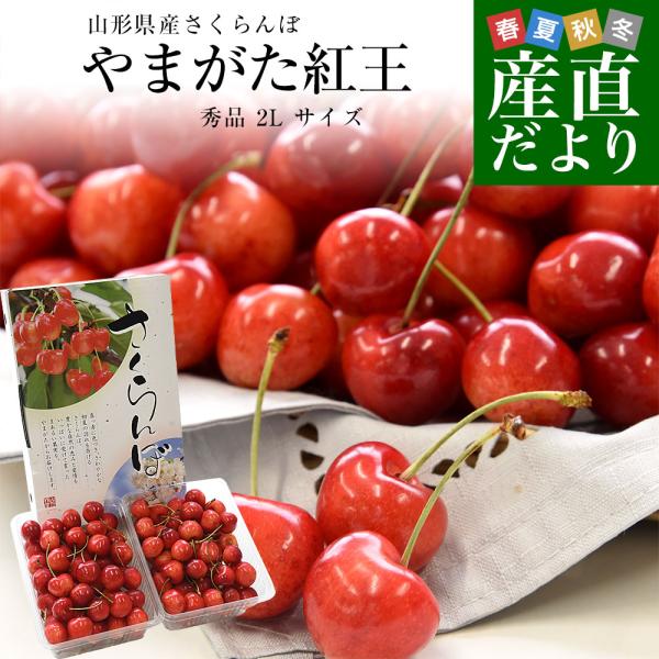 山形県から産地直送名称：さくらんぼ「やまがた紅王」秀品産地：山形産内容量：2Lサイズ　 約1キロ（500g×2）やまがた紅王は2017年に品種登録された新品種です。柔らかさと緻密さを兼ね備えた大粒の果肉に、甘さを引き立てる控えめな酸味。赤く...