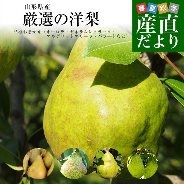 山形県より産地直送します。商品名：洋梨（品種おまかせ）産地：山形県内容量：約3キロ(8玉から12玉)オーロラ・ゼネラルレクラーク・マルゲリットマリーラ・バラ―ドなどその時期に美味しい品種をお届けします。芳醇な香りと、口いっぱいに広がる上品な...