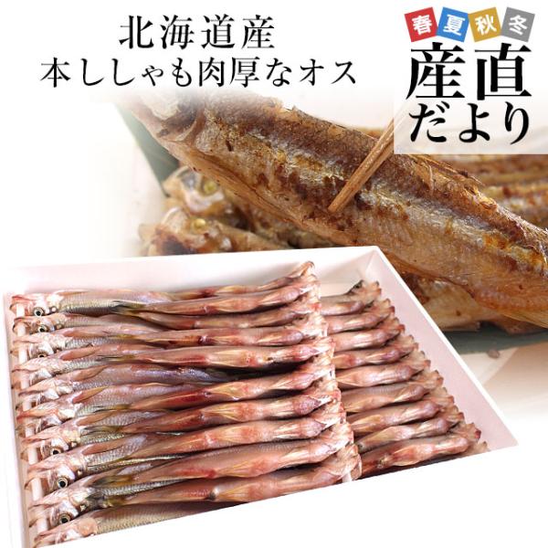 北海道より発送します 原材料名：本ししゃも（北海道産）、食塩賞味期限：冷凍3か月（−18度）、解凍後はお早目に原料産地：北海道内容量：30尾入化粧箱　1尾あたり16g前後〜　　　※重量は、多少前後します。販売者：産直だより ＜沖縄県と一部離...
