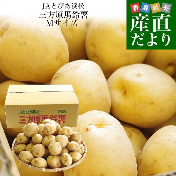 東京都大田市場より発送いたします。商品名：じゃがいも産地：静岡県内容量：Mサイズ　10キロばれいしょ（馬鈴薯）は、浜松市の三方原台地と湖西市の白須賀台地を中心に栽培されており、その地域で栽培されたものを「三方原馬鈴薯」といいます。この地域の...