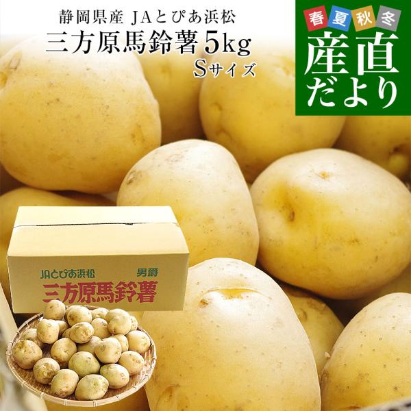 大田市場より発送致します。商品名：じゃがいも（馬鈴薯）産地：静岡県三方原内容量：5キロ（Sサイズ）豊富な日照量と赤土の特性を生かした名産地「静岡県三方原」徹底した品質管理により厳選された極旨ブランドじゃがいもをご堪能下さい。素材の味を楽しめ...