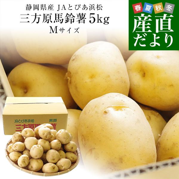 大田市場より発送致します。商品名：じゃがいも（馬鈴薯）産地：静岡県三方原内容量：5キロ（Mサイズ）豊富な日照量と赤土の特性を生かした名産地「静岡県三方原」徹底した品質管理により厳選された極旨ブランドじゃがいもをご堪能下さい。素材の味を楽しめ...
