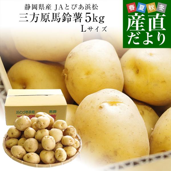大田市場より発送致します。商品名：じゃがいも（馬鈴薯）産地：静岡県三方原内容量：5キロ（Lサイズ）豊富な日照量と赤土の特性を生かした名産地「静岡県三方原」徹底した品質管理により厳選された極旨ブランドじゃがいもをご堪能下さい。素材の味を楽しめ...