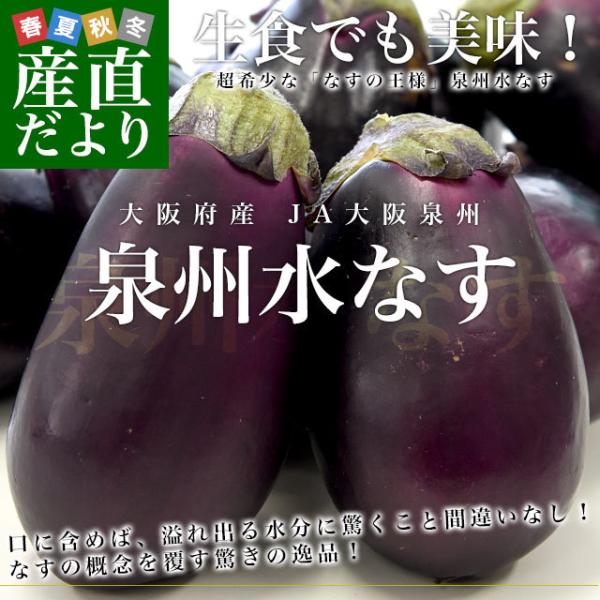東京都大田市場より発送します。商品名：泉州水なす内容量：約3キロ（20玉入）原産地：大阪府産全国区の知名度を誇る！大阪のブランド野菜「泉州水なす」瑞々しくフルーティーな甘みが絶品！生でも食べることができる全国的にも珍しい希少品です。＜商品の...