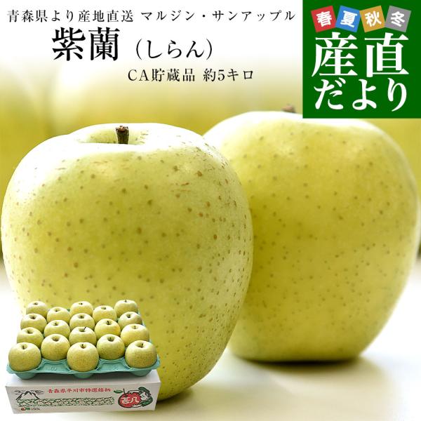 青森県マルジン・サンアップルより産地直送します商品名：りんご（王林）産地：青森県内容量：約5キロ（16玉から20玉）糖度14度以上のとっても甘く香り豊かな王林をお届けします。王林の名前の由来である「りんごの中の王様」の名にもふさわしい、美し...