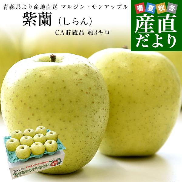 青森県マルジン・サンアップルより産地直送します商品名：りんご（王林）産地：青森県内容量：約3キロ（9玉から11玉）糖度14度以上のとっても甘く香り豊かな王林をお届けします。王林の名前の由来である「りんごの中の王様」の名にもふさわしい、美しい...