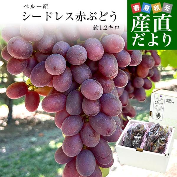 東京都大田市場より発送いたします。商品名：シードレス赤ぶどう原産地：ペルー産内容量：約1.2キロ(約600g×2入)皮ごと・種なし！シードレス赤ぶどう！パリッと食感と上品な甘みが特徴で、スナック感覚で食べられます！その時期に最適な品種を選び...