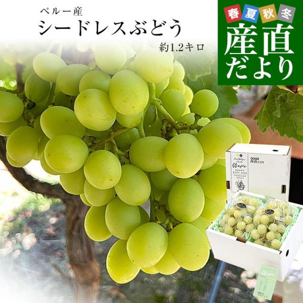 東京都大田市場より発送いたします。商品名：シードレス緑ぶどう原産地：ペルー産内容量：約1.2キロ(約600g×2入)産直だより特別企画！皮ごと・種なしのシードレスぶどう！甘み豊かで、後味はすっきり！皮ごとサクサクと食べられます。その時期に最...