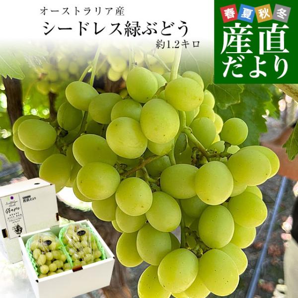 東京都大田市場より発送いたします。商品名：シードレス緑ぶどう原産地：オーストラリア内容量：約1.2キロ(約600g×2入)産直だより特別企画！皮ごと・種なし！高糖度厳選のシードレスぶどう！甘み豊かで、弊社測定・実測糖度はなんと21.1度も！...