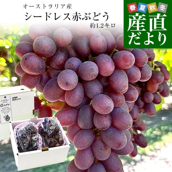 東京都大田市場より発送いたします。商品名：シードレス赤ぶどう原産地：オーストラリア内容量：約1.2キロ(約600g×2入)皮ごと・種なし・高糖度！シードレス赤ぶどう！パリッと食感と上品な甘みが特徴で、弊社測定・実測糖度はなんと19.1度も！...