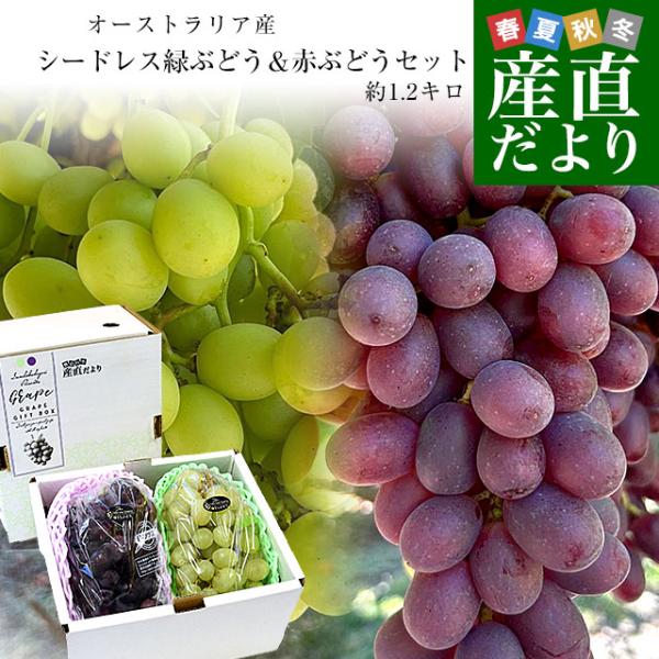 東京都大田市場より発送いたします。商品名：シードレス緑ぶどう＆赤ぶどう原産地：オーストラリア内容量：約1.2キロ(約600g×2入)皮ごと・種なし・高糖度！シードレス緑ぶどう＆赤ぶどうセット！スナック感覚で皮ごと食べられる美味ぶどうを、豪華...