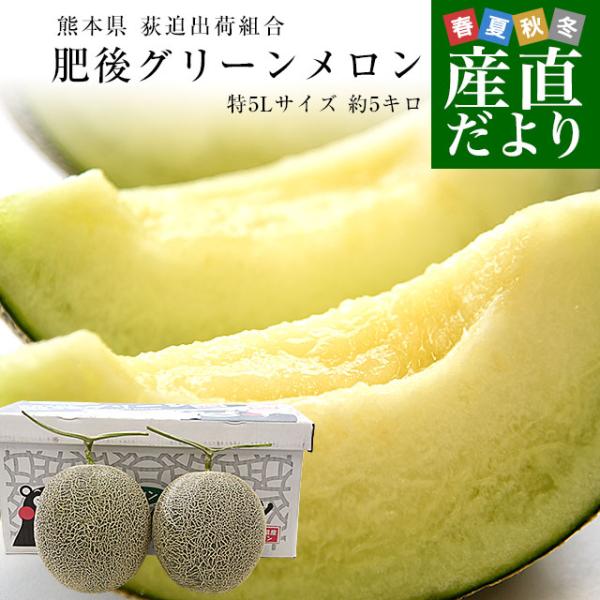 熊本県より産地直送します品名：メロン（肥後グリーンメロン）産地：熊本県容量：１箱・約 5キロ（2玉入り）あま〜い人気のメロンを熊本県からお届け！「肥後グリーン」はとろけるような舌触りで、果皮は濃いめの青肉メロン。肥後の名の通り熊本を代表する...