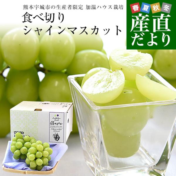 熊本県より産地直送いたします。商品名：シャインマスカット原産地：熊本県内容量：合計600g（約300g×2パック）生産者4名が作る、熊本県宇城市不知火町のシャインマスカットをお届けいたします。パリッとした歯ごたえと豊かな甘みが魅力の大人気ぶ...