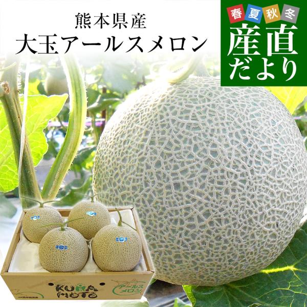 熊本県より発送します。商品名：アールスメロン産地：熊本県内容量：約8キロ（4玉入）豊潤な香りと旨さを併せ持つ高級アールスメロン。滑らかでとろけるような舌触り果汁たっぷりで高い甘さが特徴です。1玉約2キロの大玉サイズ！皮のヘリまで美味しく食べ...
