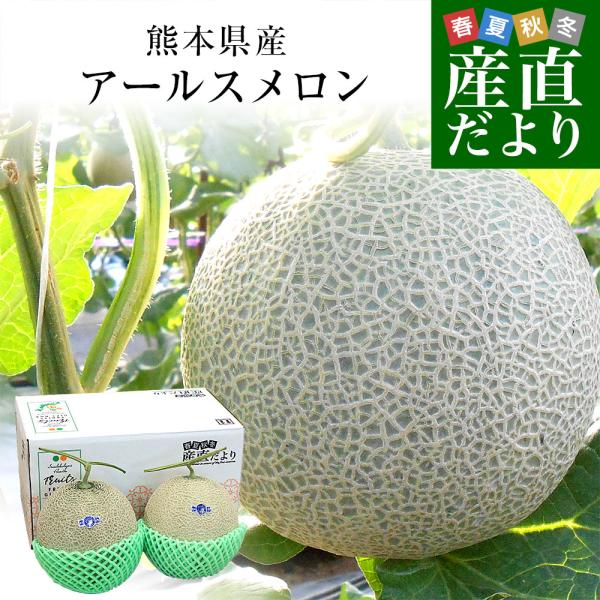 熊本県より発送します。商品名：アールスメロン産地：熊本県内容量：約8キロ（4玉から5玉）豊潤な香りと旨さを併せ持つ高級アールスメロン。滑らかでとろけるような舌触り果汁たっぷりで高い甘さが特徴です。皮のヘリまで美味しく食べられる大玉サイズの高...