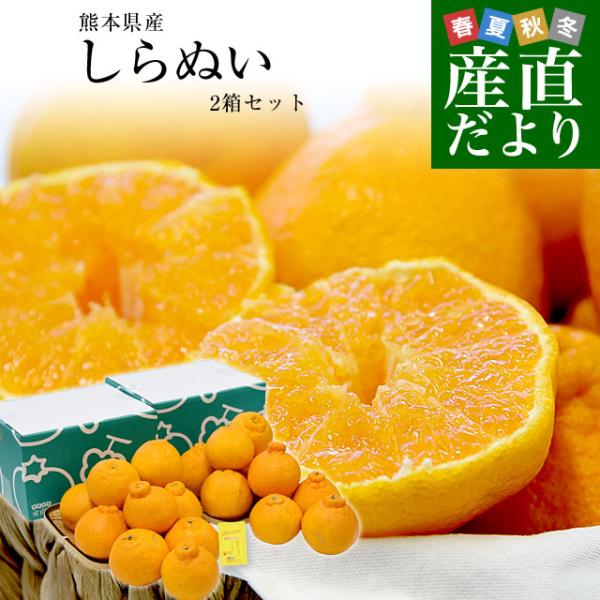 熊本県より産地直送いたします。商品名：しらぬい（不知火）産地：熊本県内容量：約2.3キロ×2箱(合計15玉から28玉前後)本場熊本から産地直送！極旨のしらぬひをお届けします。しっとりとした果肉に、濃い甘みが凝縮していて、抜群の美味しさです。...