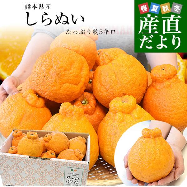 熊本県より産地直送いたします。商品名：しらぬい（不知火）産地：熊本県内容量：約5キロ(14玉から20玉前後)本場熊本から産地直送！極旨のしらぬいをお届けします。しっとりとした果肉に、濃い甘みが凝縮していて、抜群の美味しさです。やはり元祖は違...