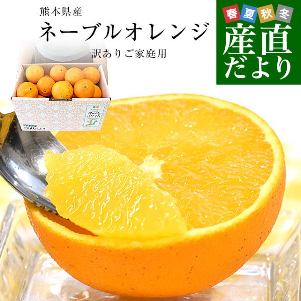 熊本県より産地直送いたします商品名：ネーブルオレンジ（訳ありご家庭用）原産地：熊本県産内容量：約5キロ（17玉から33玉前後）果物の名産地、熊本県から今が旬のオレンジをお届け！甘さと適度な酸味があり、爽やかな果汁が溢れます。またカットすると...