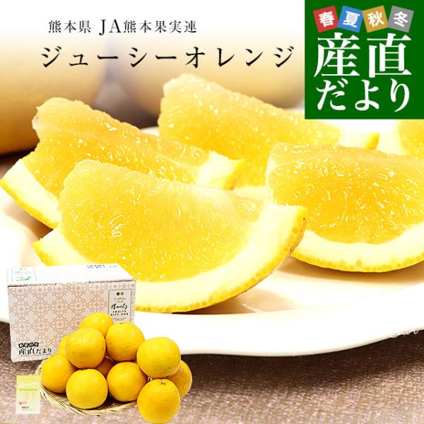 熊本県より産地直送します。商品名：ジューシーオレンジ原産地：熊本県内容量：約5キロ(12玉から18玉前後)たっぷりの果汁とスッキリした甘み。密かにファンが増え続ける、まるで和製グレープフルーツ！爽やかな香りと上品な味わいで、口当たりもソフト...