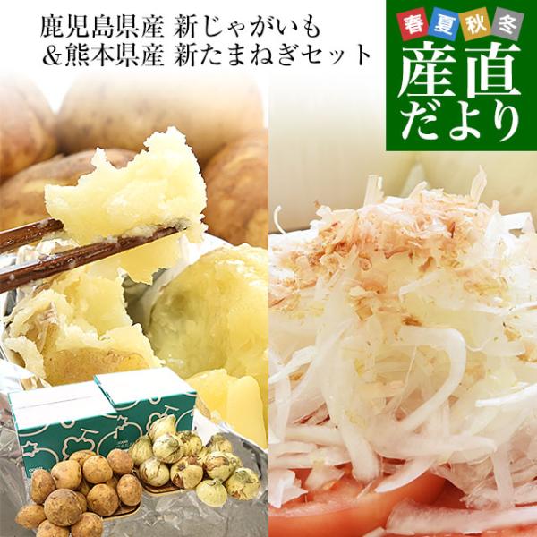 九州より直送いたします。商品名：新じゃがいも＆新たまねぎセット原産地：鹿児島県、熊本県内容量：約2.5キロ×2箱鹿児島県×熊本県の春のごちそう！鹿児島県産「新じゃがいも」、熊本県産「新玉ねぎ」、旬のおいしさをまとめてお届け！新じゃがいものし...