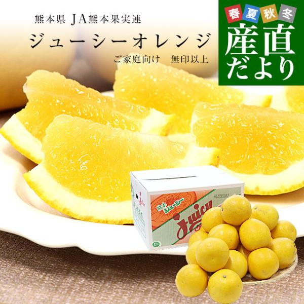 熊本県から産地直送します。商品名：ジューシーオレンジ（河内晩柑）等級：無印以上4Lから2L（ご家庭向け）内容量：7キロ以上 (14玉から19玉前後)原産地：熊本県緊急スポット！！　シーズン最後の大奉仕！たっぷり7キロ！！溢れる果汁とスッキリ...