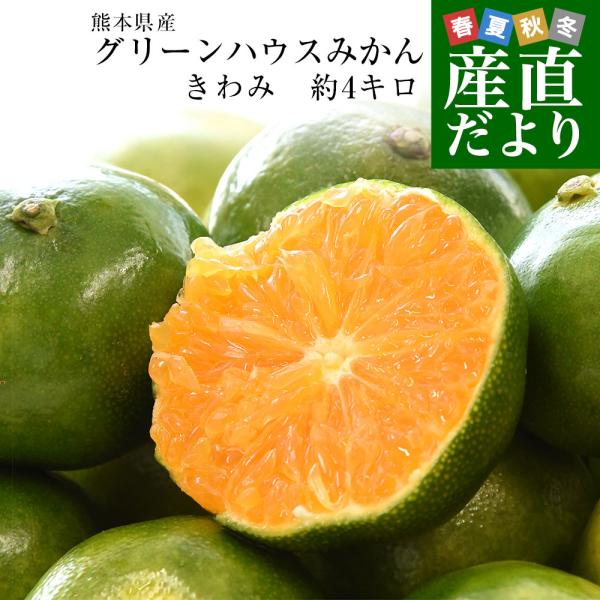 九州より発送します。商品名：糖度選別グリーンハウスみかん産地：熊本県内容量：約4キロ（42玉から60玉前後）甘さにこだわった選りすぐりのグリーンハウスみかんです！グリーンハウスみかんは、緑かかった果皮の色とは対象的に、果肉は完熟しているのが...