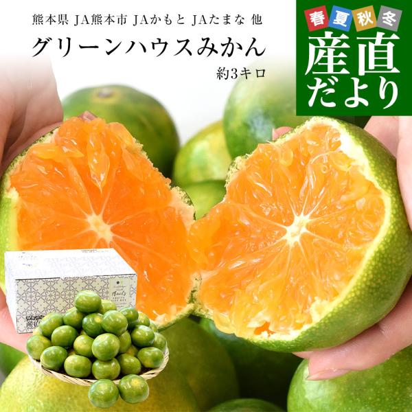 九州より発送します。商品名：糖度選別グリーンハウスみかん産地：熊本県内容量：約3キロ(35玉から45玉前後)甘さにこだわったグリーンハウスみかんです！グリーンハウスみかんは、緑かかった果皮の色とは対象的に、果肉は完熟しているのが特徴です。今...