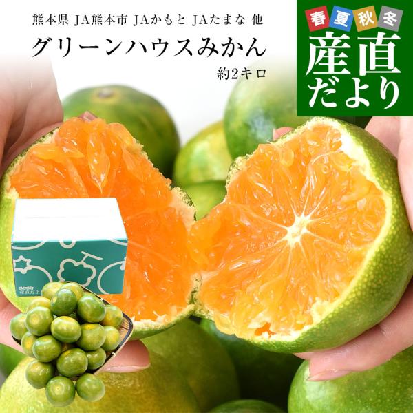 九州より発送します。商品名：糖度選別グリーンハウスみかん産地：熊本県内容量：約2キロ（25玉から30玉前後）甘さにこだわったグリーンハウスみかんです！グリーンハウスみかんは、緑かかった果皮の色とは対象的に、果肉は完熟しているのが特徴です。今...