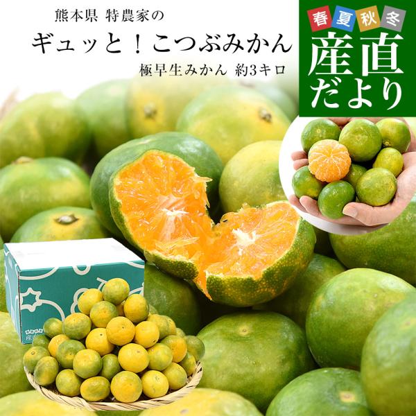 九州より発送します。商品名：極早生みかん 3S産地：熊本県内容量：約3キロ（70玉前後）みかんの名産地、熊本県から小粒のみかんをお届け！果汁たっぷりの極早生みかん。甘味と酸味のバランスも良く口いっぱいに甘酸っぱい爽やかな果汁が広がります。熊...